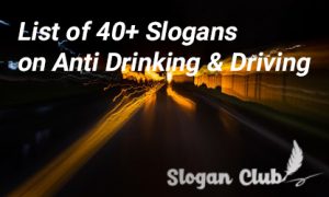 List of 40+ Slogans on Anti Drinking & Driving