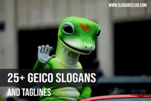 Top 25+ Geico Slogans and Taglines