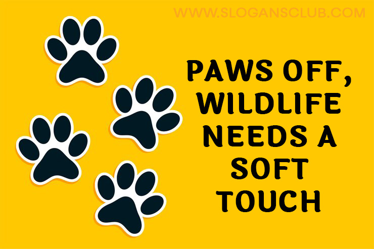 Inspiring Slogans For Saving Animals Habitats